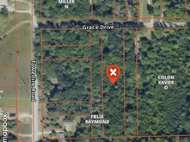 6461 Grace Dr, Hale, MI 48739