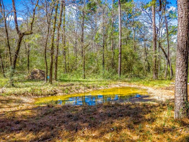 646 County Road 2100 N, Crockett, TX 75835 | MLS #88770
