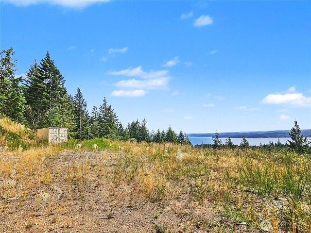 646 Madrona Ridge Dr, Brinnon, WA 98320