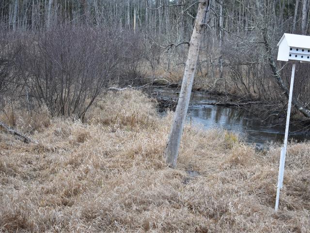 646 W 3 Mile Road