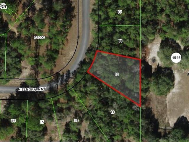 6477 N Elnora Way, Dunnellon, FL 34433 | MLS #O6396