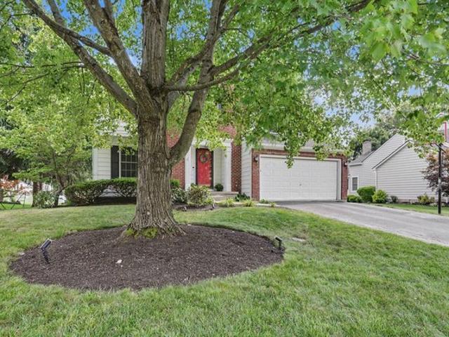 6470 Hermitage Dr, Westerville, OH 43082