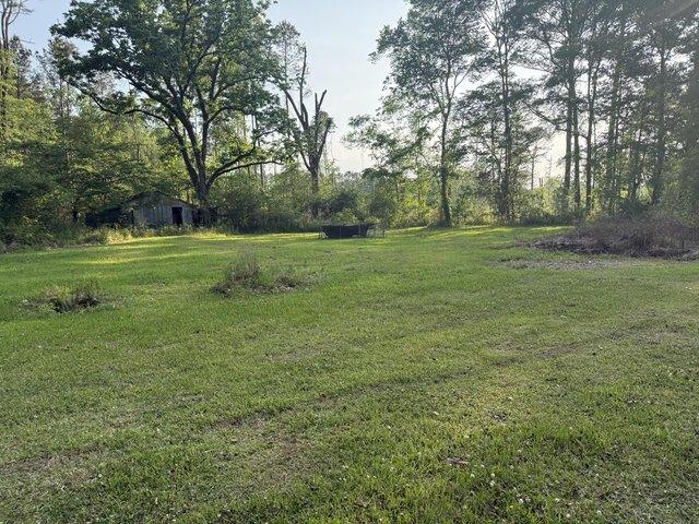 6473 Highway 513, Stonewall, MS 39363