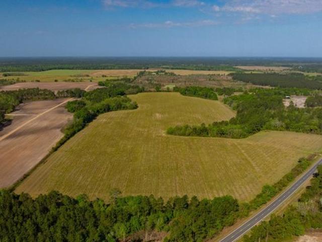 647, Oakfield, GA 31772