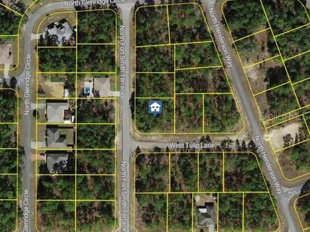 647 W Tulip Ln, Citrus Springs, FL 34434