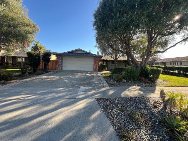 6484 Camelia Drive