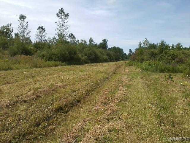 6480 Ditch Road