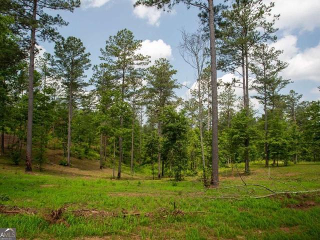 6480 Highway 52 W, Dahlonega, US, GA