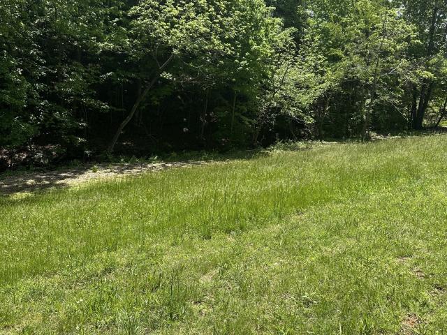6481 Kelly Willis Rd
