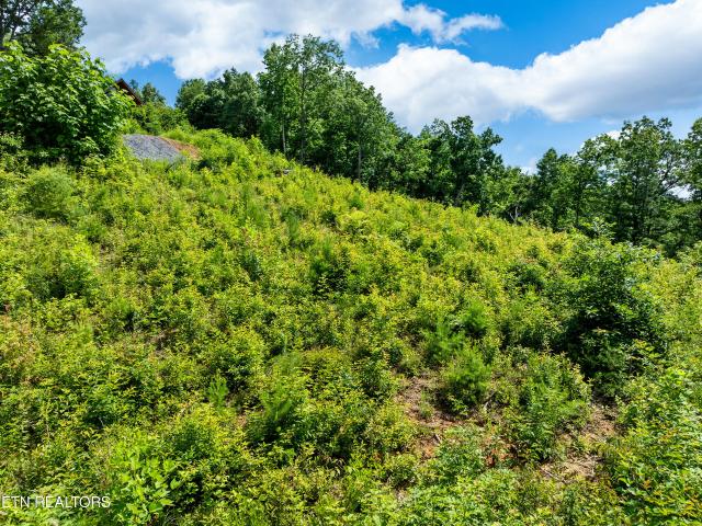 648 Almost Heaven Way, Gatlinburg, TN 37738 | MLS #1346