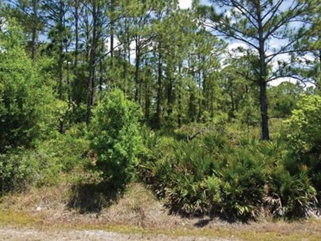 648 Pershing Ave, Lake Placid, FL 33852