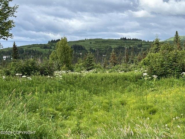 64985 Nikolaevsk Rd, Nikolaevsk, AK 99556