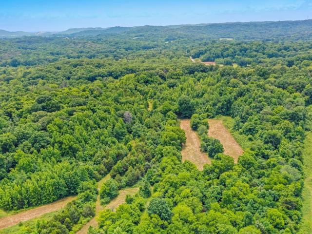 6492 Arno College Grove Rd