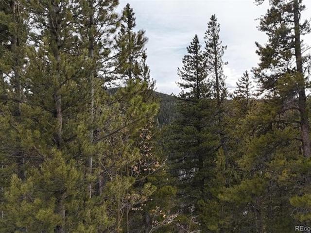 649 Vista Rd, Idaho Springs, CO 80452