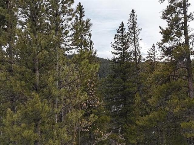 649 Vista Rd Lot 62, Idaho Springs, CO 80452