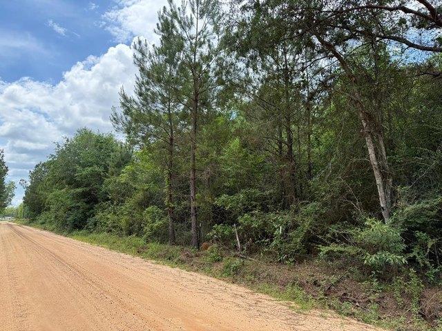 64.47 Ac Old Faceville Rd, Bainbridge, GA 39819