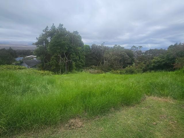 64 635 Kolohala Pl, Kamuela, HI 96743 | MLS #728153 | Compass