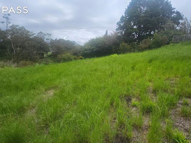64 635 Kolohala Pl, Kamuela, HI