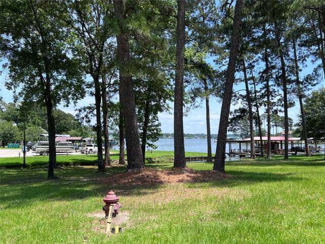 64 65 70, Onalaska, TX 77360 | MLS #84970 | Compass