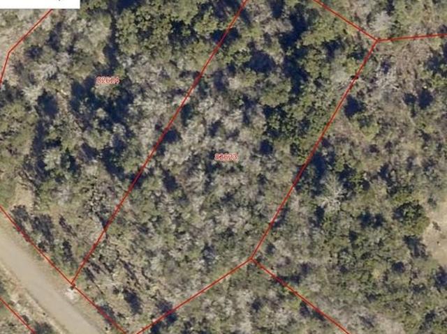 64 War Bonnet Rdg, Kingsland, TX 78639