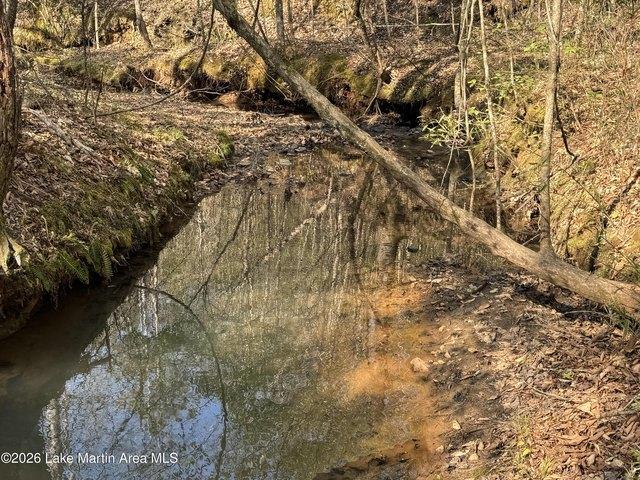 64 Ac County Road 34, Dadeville, AL 36853