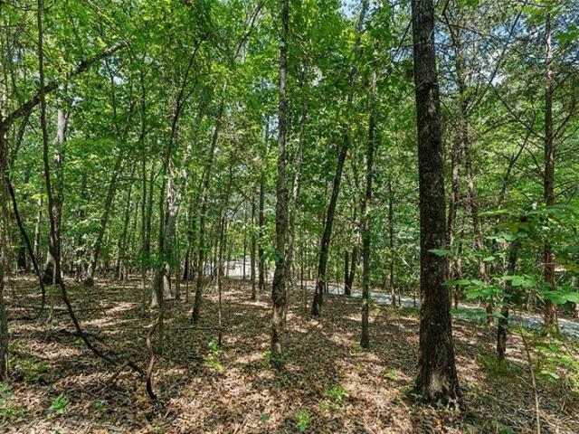 64 Acres War Eagle Blacktop Rd Lot 22, Springdale, AR 72764