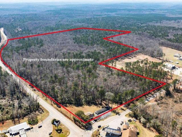 64 Acres Highway 49/Highway 50, Dadeville, AL 36853