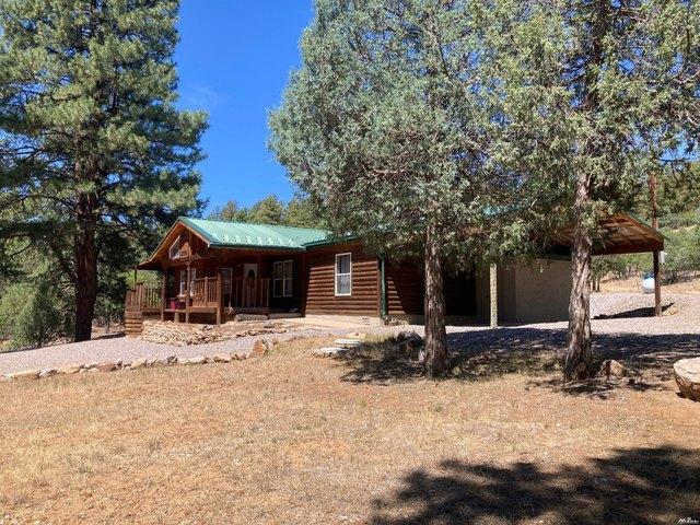 64 Buena Vista Dr, Los Ojos, NM 87551