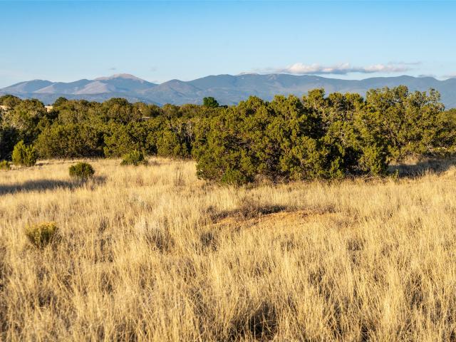 64 Chisholm Trail