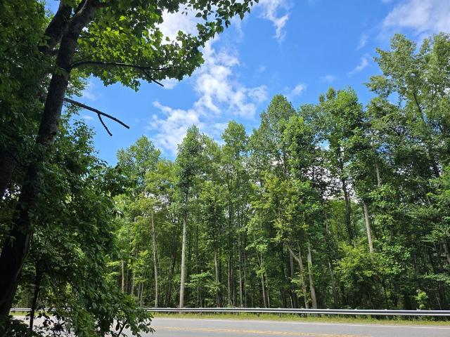 64 E Hayesville, NC 28904 | MLS #418670