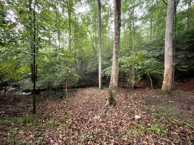 64 Kristin Ln, Ellijay, GA 30540 | MLS #434562