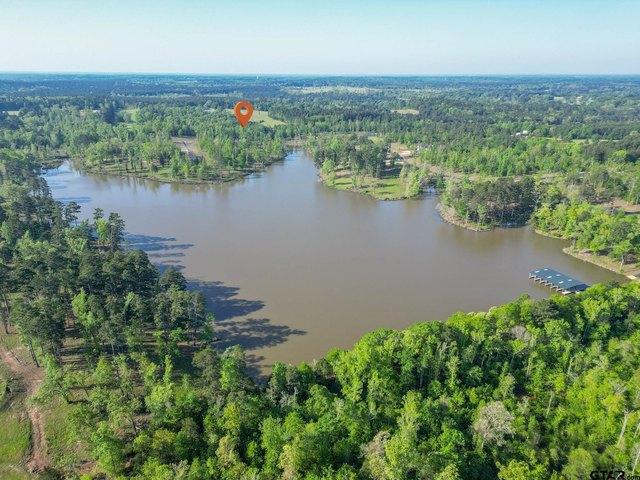 64 Marble Way, Hallsville, TX 75650
