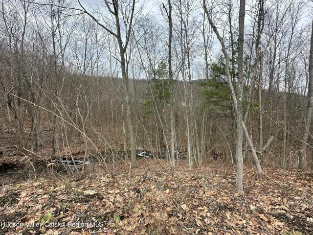 64 Palmer Rd, Craryville, NY 12521 | MLS #20260 | Compass