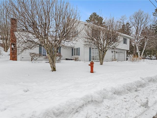 64 Schultze Street