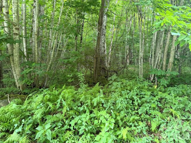 64A Jonathan Trail