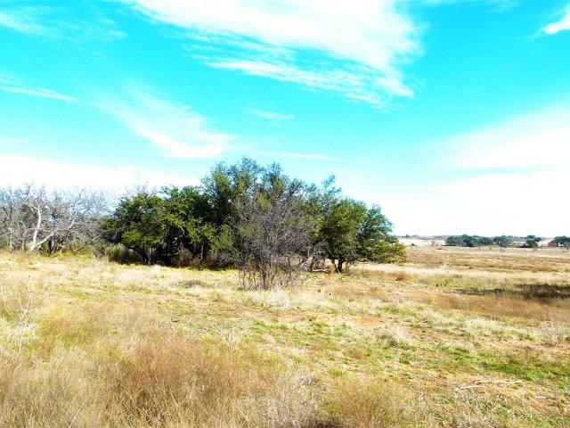 6500 A Farm to Market 586, Bangs, TX 76823 | MLS #21152
