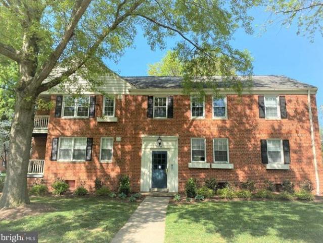 6500 Potomac Ave #B1, Alexandria, VA 22307