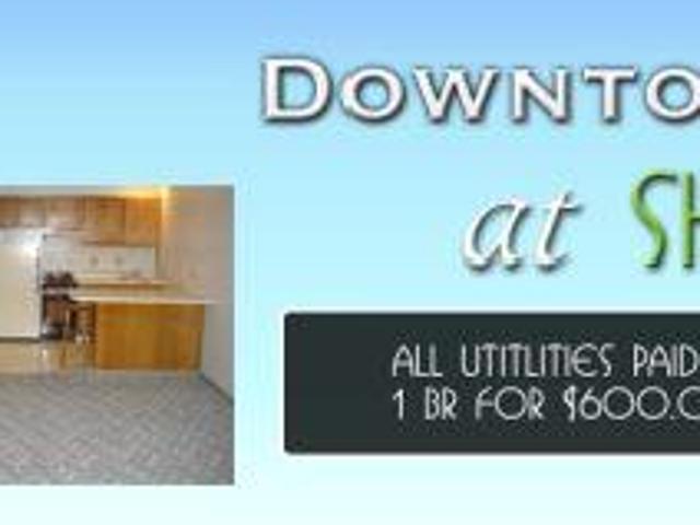 $650 / 1br 700ft² Very nice downtown 1 bedroom with all utilities with WIFI included Helena