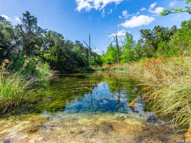 650 Evans Creek Road