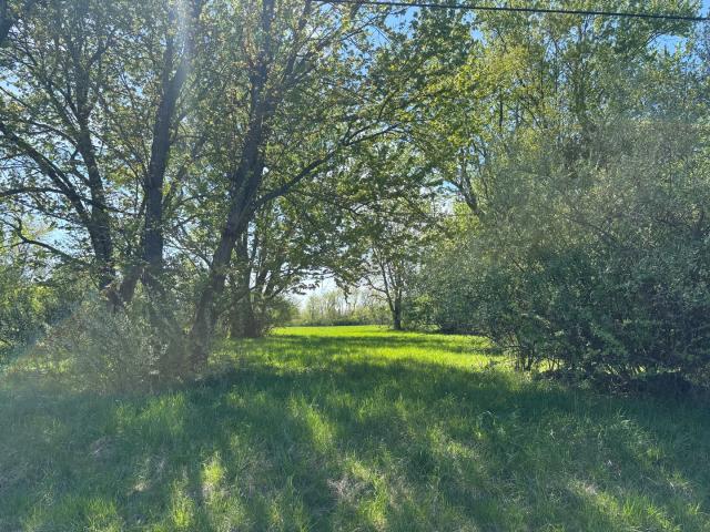 650 Lake Wildwood Drive