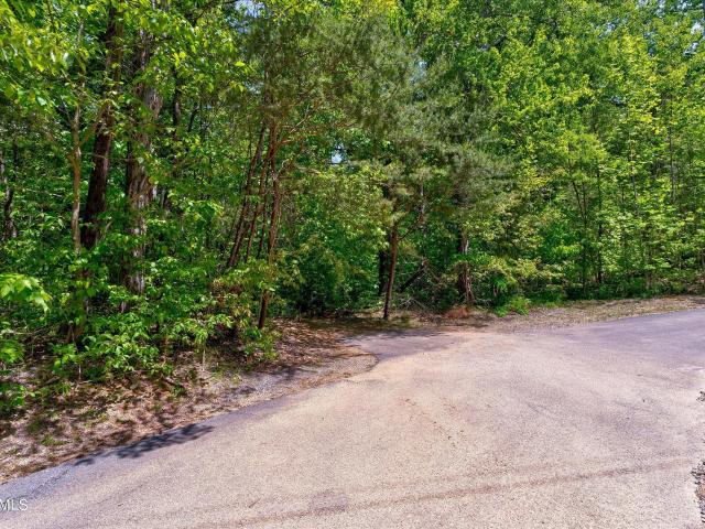 650 Silver Poplar Lane