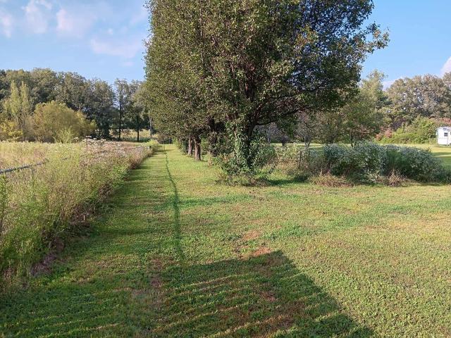 650 Point Mason Rd, Big Sandy, TN 38221 | MLS #2989