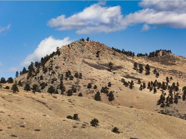650 Terrace Ave UNIT E, Boulder, CO