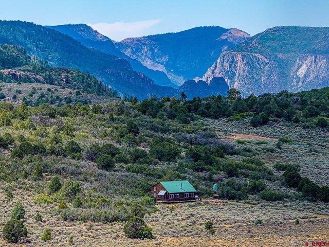 6519 Uncompahgre Divide Rd, Whitewater, CO 81527