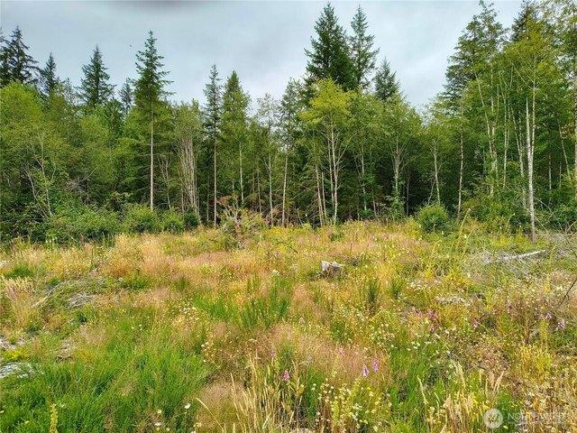 6510 st Ave SW, Olympia, WA 98512