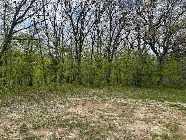 6513 Jansen Cv, Panora, IA 50216