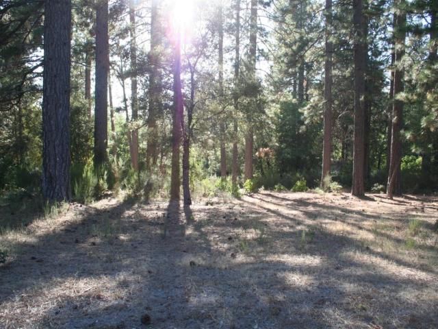 651 Chief Kelly Dr, Nevada City, CA 95959 | MLS #226039 | Compass