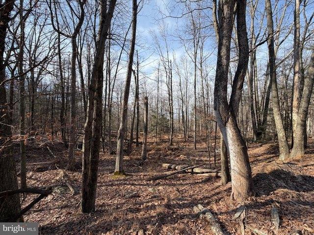 651 Aspen Dr, Zion Grove, PA 17985