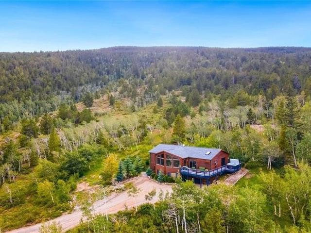 651 Lamb Mountain Rd, Fairplay, CO 80440