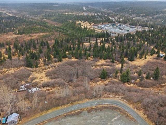 65251 Wagon Rd, Anchor Point, AK 99556